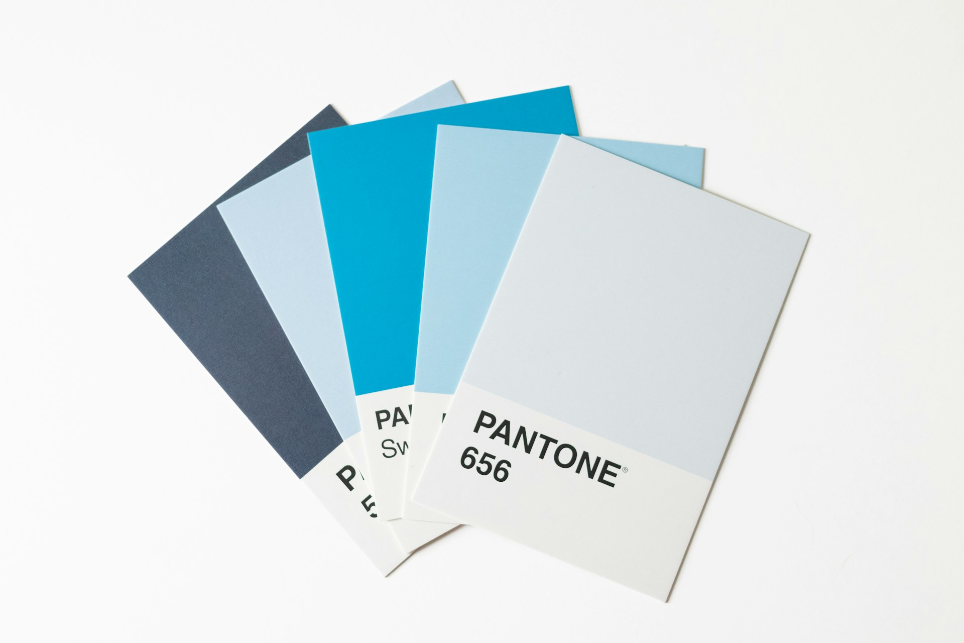 Pantone - co to? Przewodnik po systemie kolorów i jego zastosowaniu ...